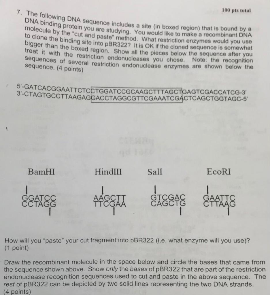 Solved 100 pts total 7. The following DNA sequence includes | Chegg.com