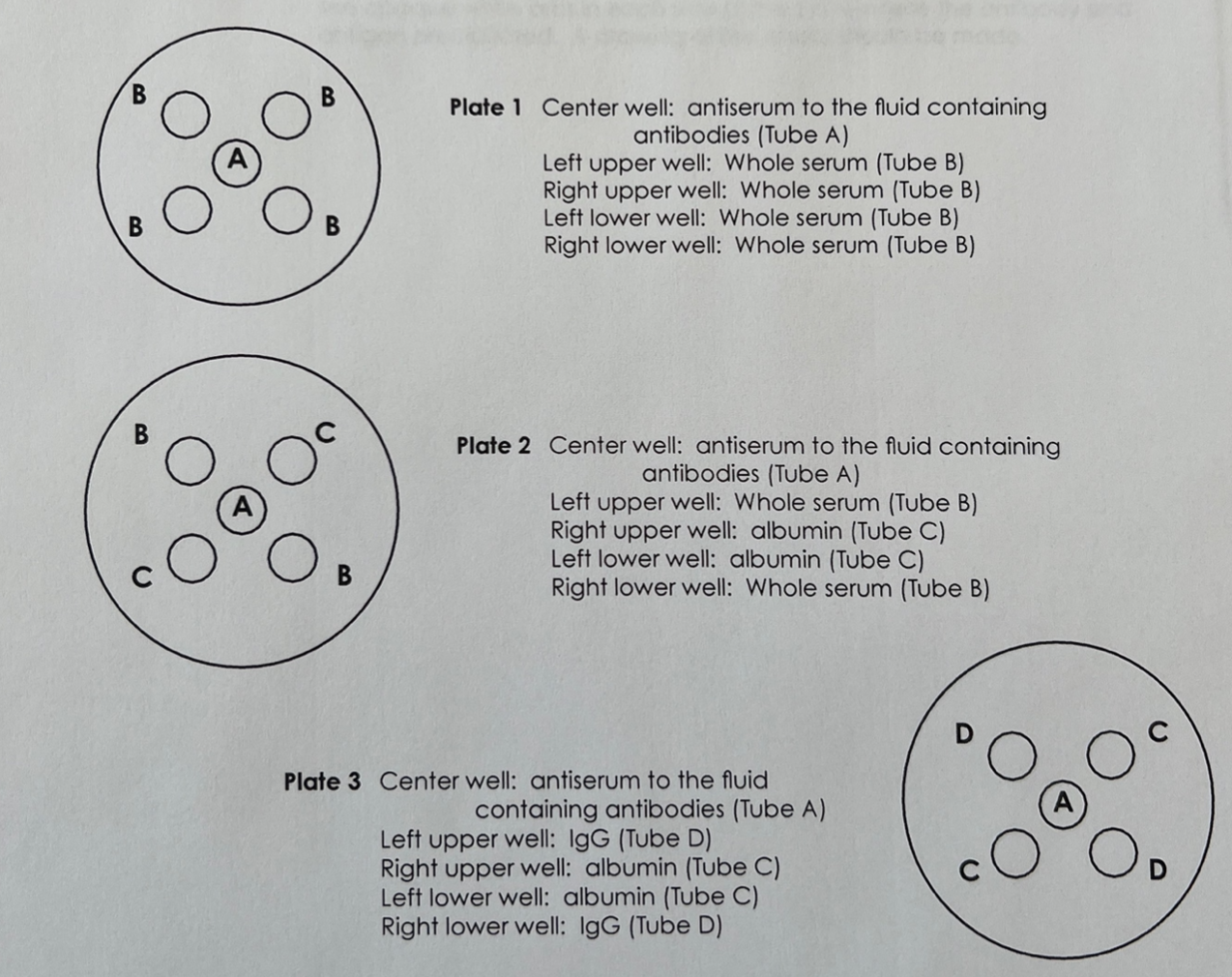 Solved Ouchterlony Double Immunodiffusion: Can you help | Chegg.com