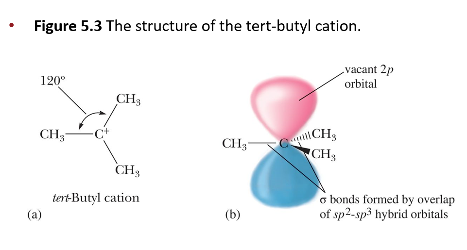 Solved Could you explain more of (b)Figure 5.3 ﻿The | Chegg.com
