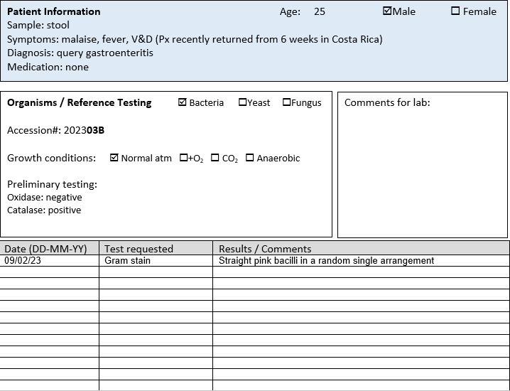Attached you will find your patient's | Chegg.com