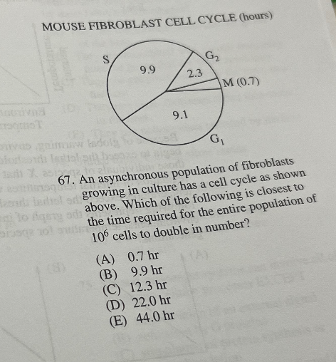 [Solved]: MOUSE FIBROBLAST CELL CYCLE (hours) 67. An async
