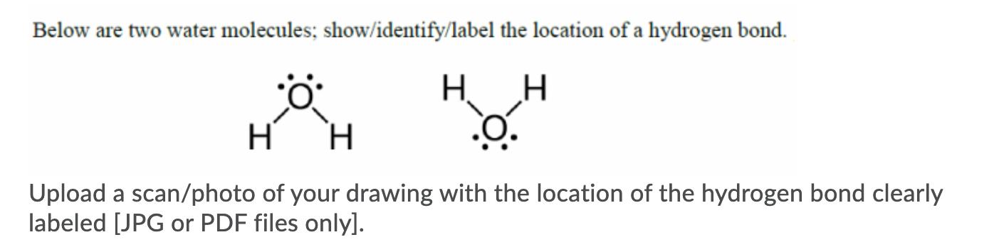 Solved below are two water molecules; show/identify/label | Chegg.com