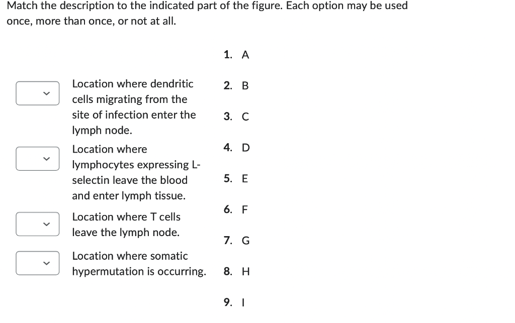 Solved Match the description to the indicated part of the | Chegg.com