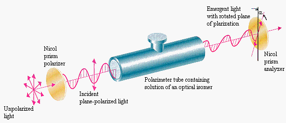Solved A concentrated solution of a certain dextrorotatory | Chegg.com