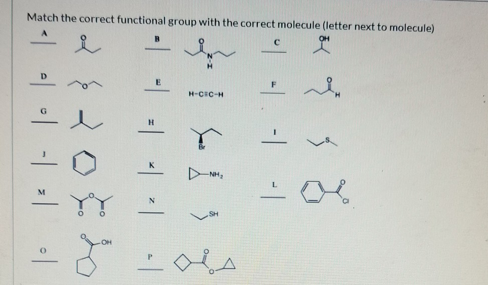 Solved Match the correct functional group with the correct | Chegg.com