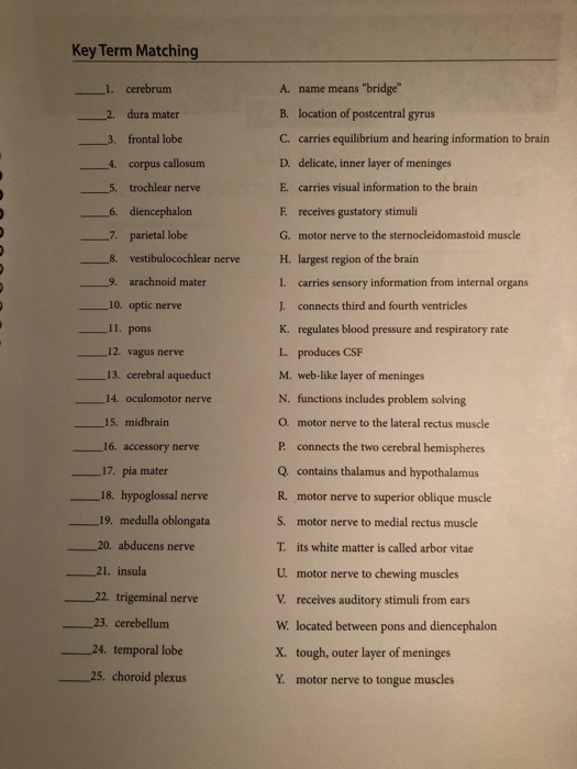 Solved Key Term Matching A name means "bridge" B. location | Chegg.com