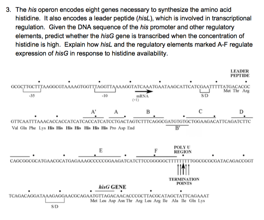 Solved The his operon encodes eight genes necessary to | Chegg.com