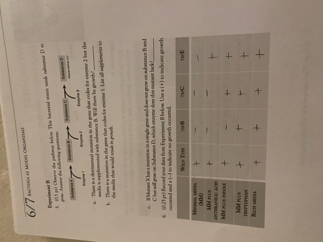 Solved Experiment B 5. the pathway below. This bacterial | Chegg.com