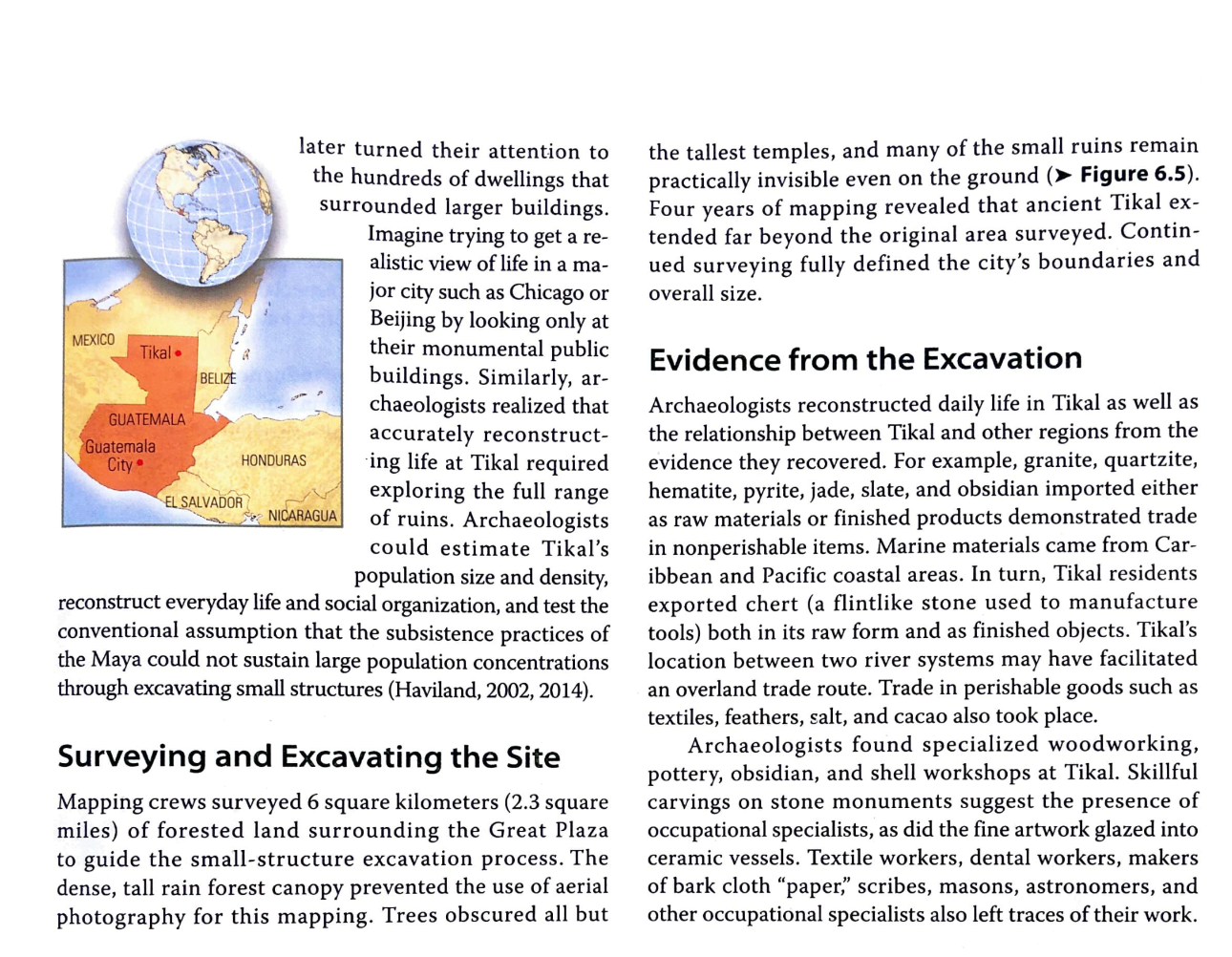 Read this description of an Tikal: A Case Study | Chegg.com