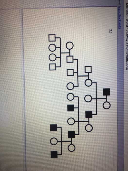 Solved oft Word - Activity X ch Text ckle Microsoft Word | Chegg.com
