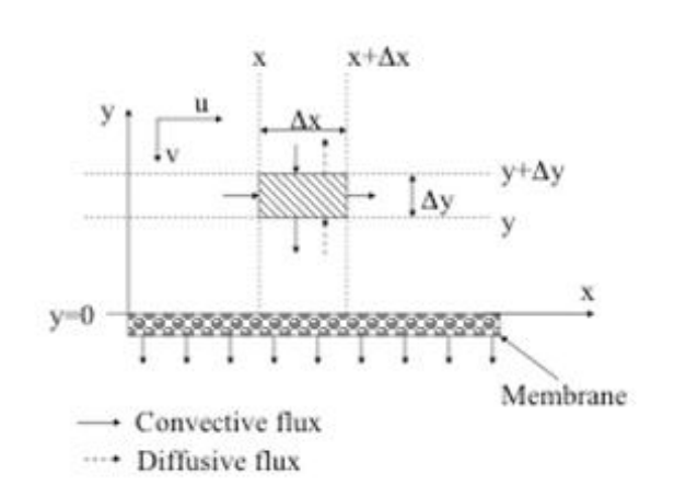 Solved Derive the two-dimensional unsteady state transport | Chegg.com