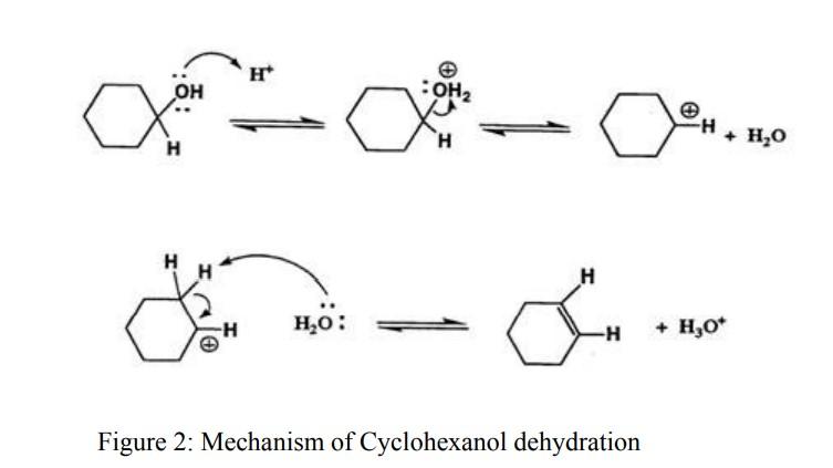 Solved Figure 2: Mechanism of Cyclohexanol dehydration | Chegg.com