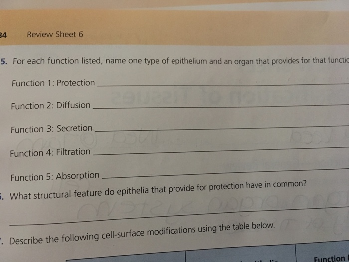 Solved 34 Review Sheet 6 For each function listed, name one | Chegg.com