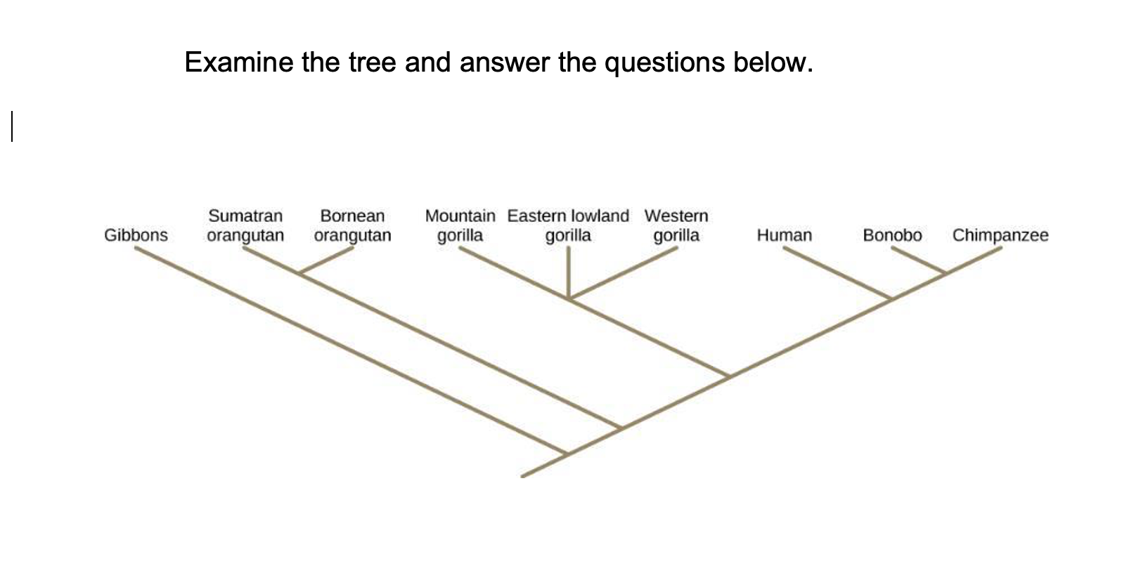 Solved Examine the tree and answer the questions below. | Chegg.com