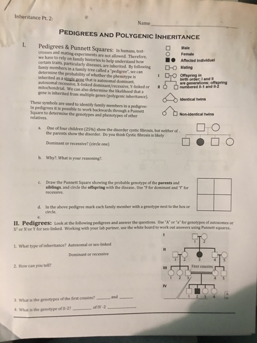 Polygenic Inheritance Pedigree