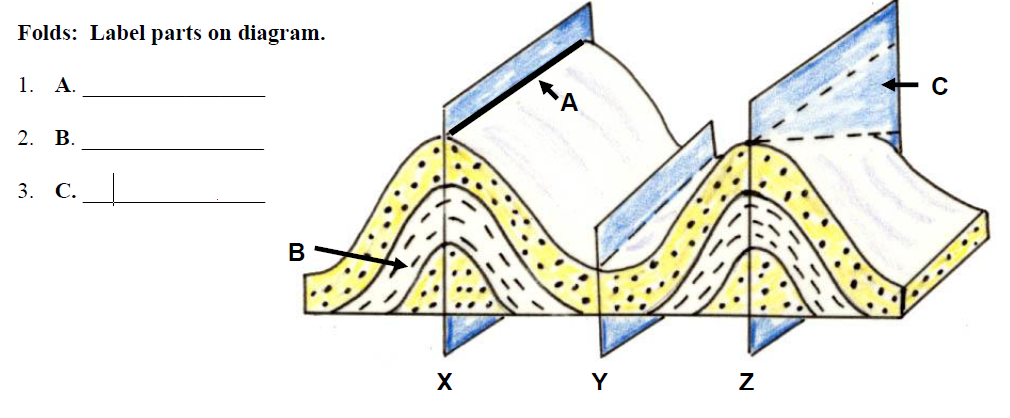 Solved Folds: Label parts on diagram. 1. A. с 2. B. 3. C. B | Chegg.com