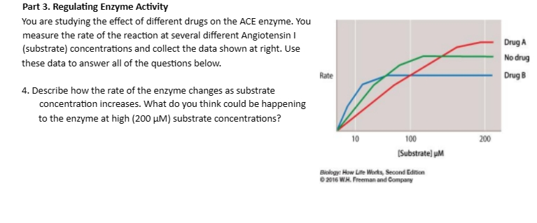 Solved 5. Describe how Drug A affects the rate of the ACE | Chegg.com