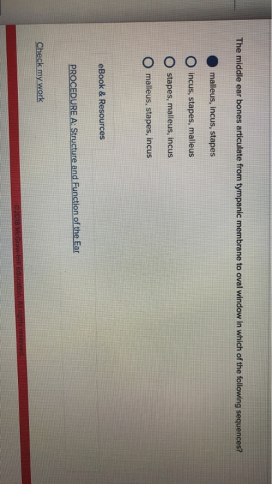 Solved Categorize the following structures as part of the | Chegg.com