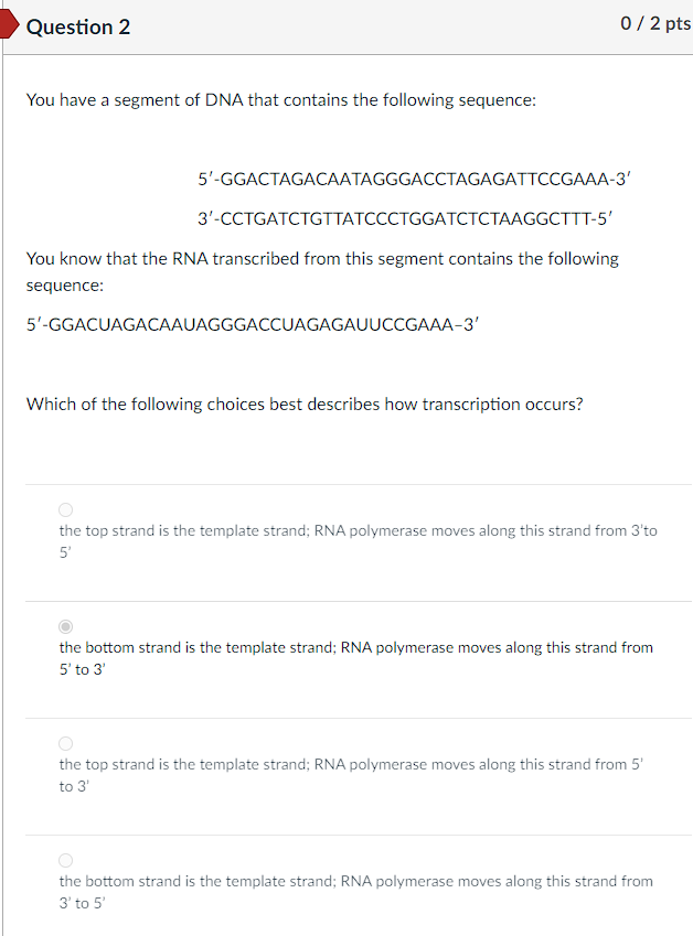 Solved You have a segment of DNA that contains the following | Chegg.com