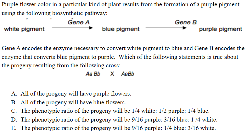 Solved Purple flower color in a particular kind of plant | Chegg.com