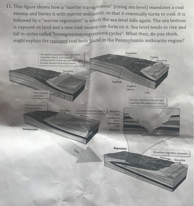 Solved 11. This figure shows how a "marine transgression" | Chegg.com