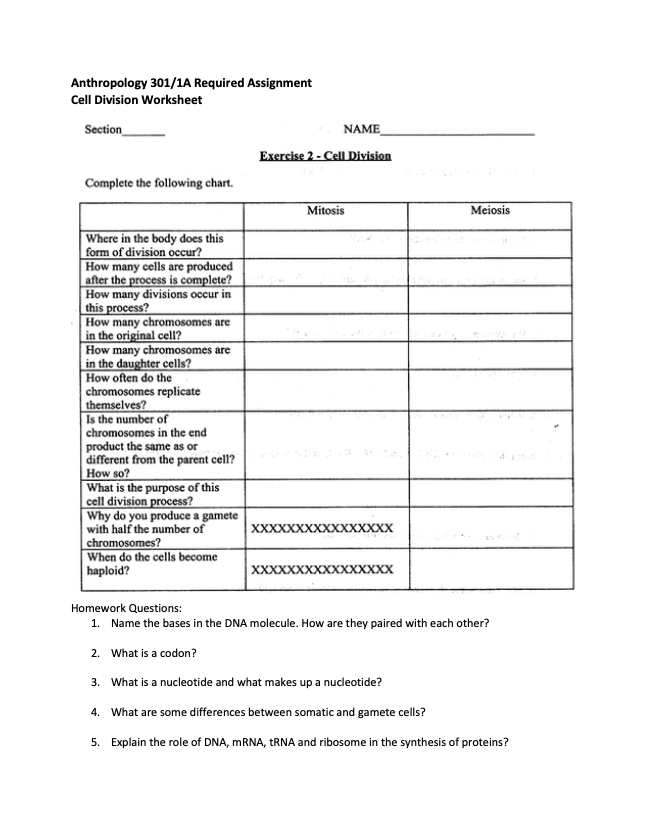 Solved Anthropology 301/1A Required Assignment Cell Division | Chegg.com