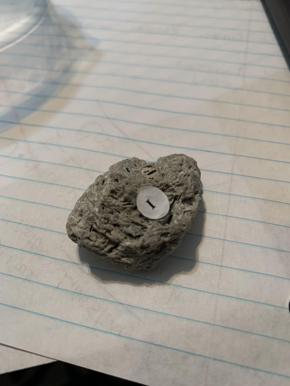 Solved Need Help Identifying this rock. It is rock I in my | Chegg.com