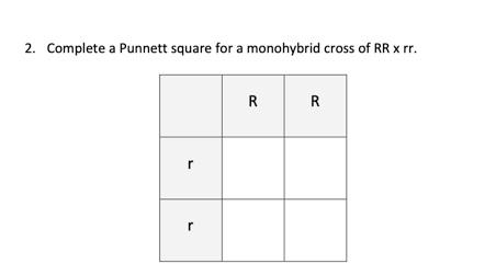 Solved 2. Complete a Punnett square for a monohybrid cross | Chegg.com