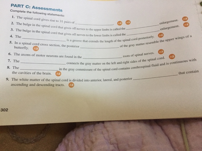 Solved PART C: Assessments Complete the following statements | Chegg.com