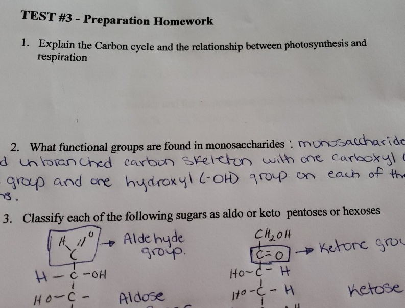 Solved TEST #3-Preparation Homework 1. Explain the Carbon | Chegg.com