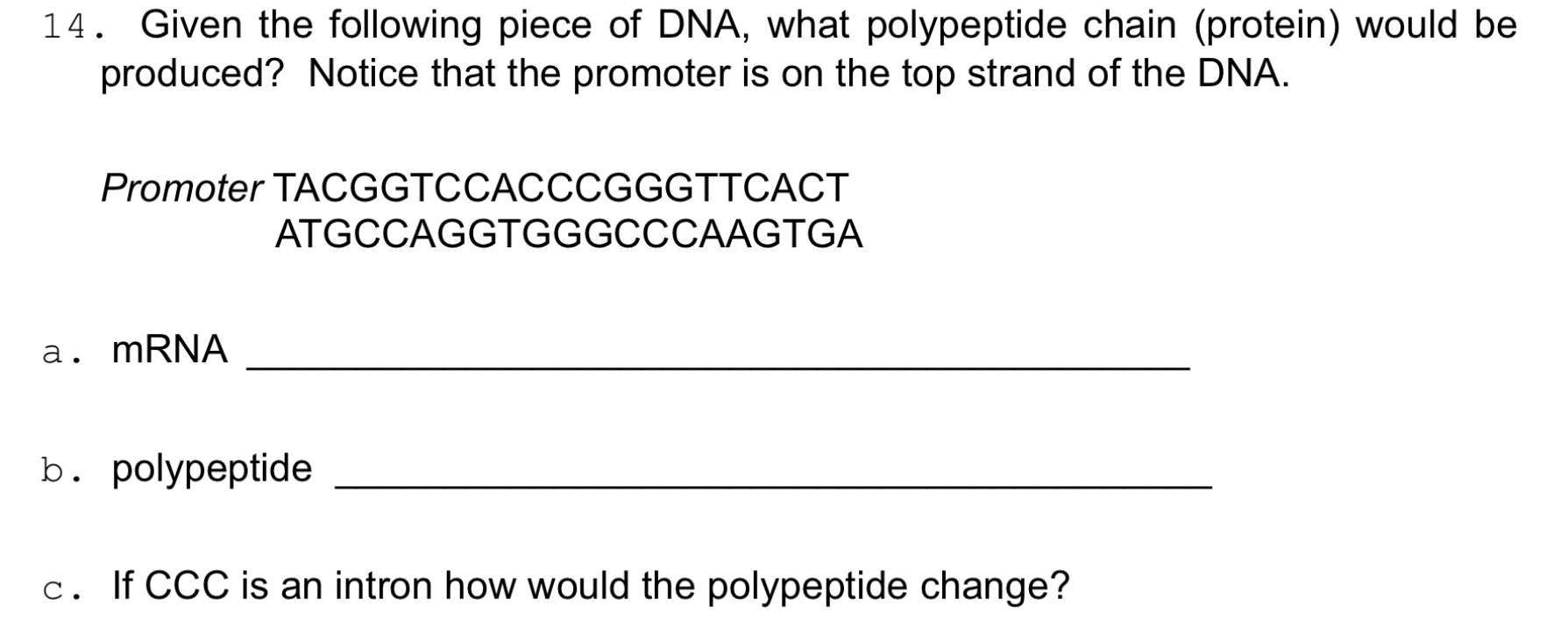 Solved 14. Given the following piece of DNA, what | Chegg.com