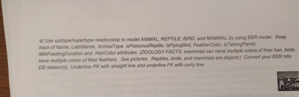 Solved 4) Use subtype/supertype relationship to model | Chegg.com