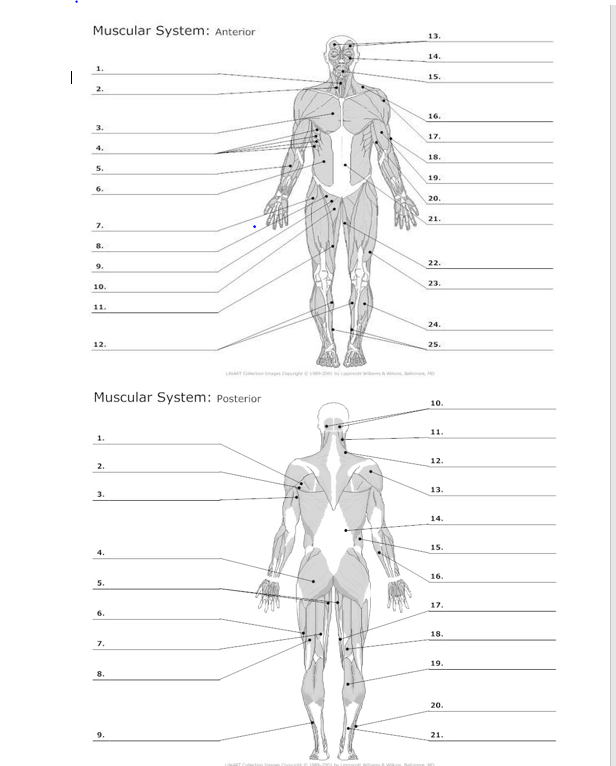 Solved Would you be able to just number (1.,2.,3. etc). This | Chegg.com