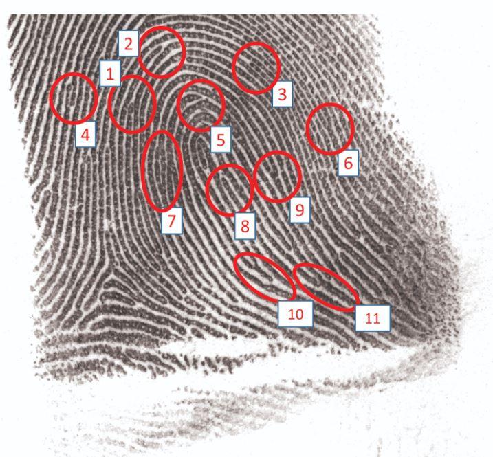Solved 2 1 3 4 Сл 5 6 9 7 8 10 11 Select the type of | Chegg.com