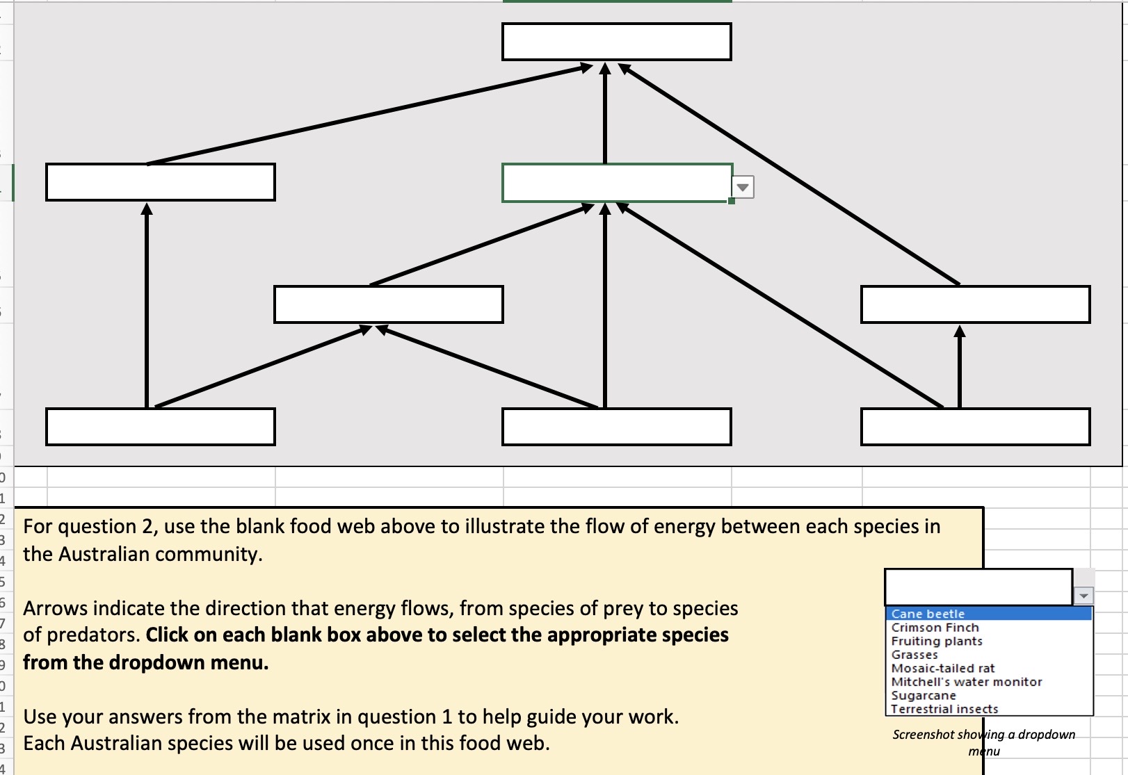 Solved Construct a food web illustrating the flow of energy | Chegg.com