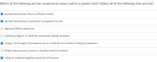 Solved Which of the following are key components/steps used | Chegg.com