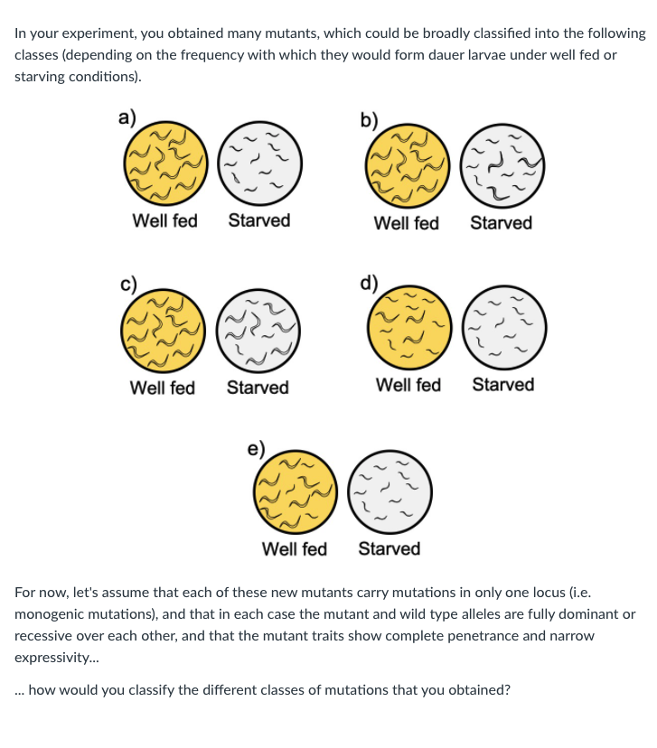 Introduction to a Genetics Project A human is a | Chegg.com