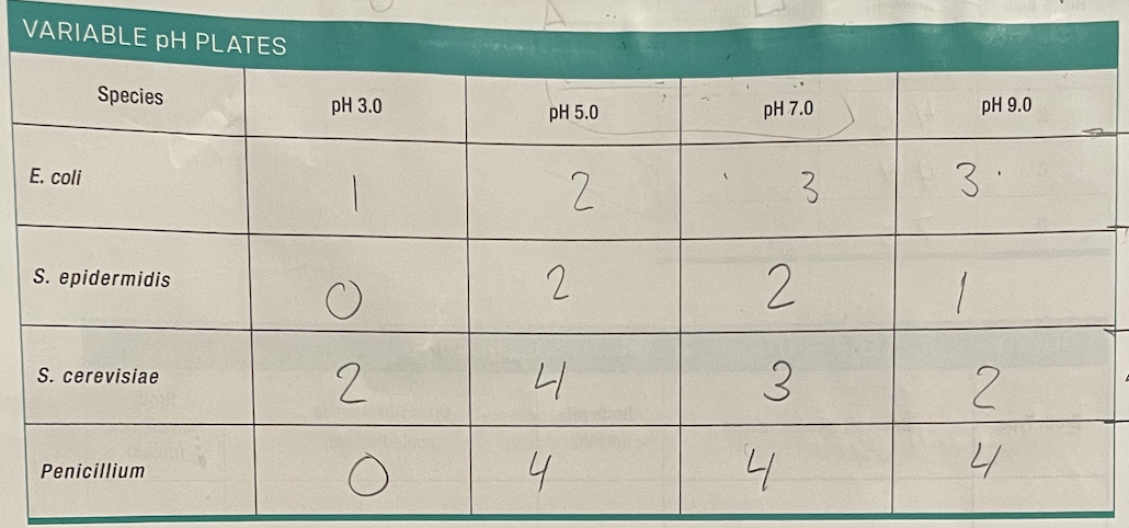 [Solved]: Not my question. begin{tabular}{|l|c|c|c|c|}