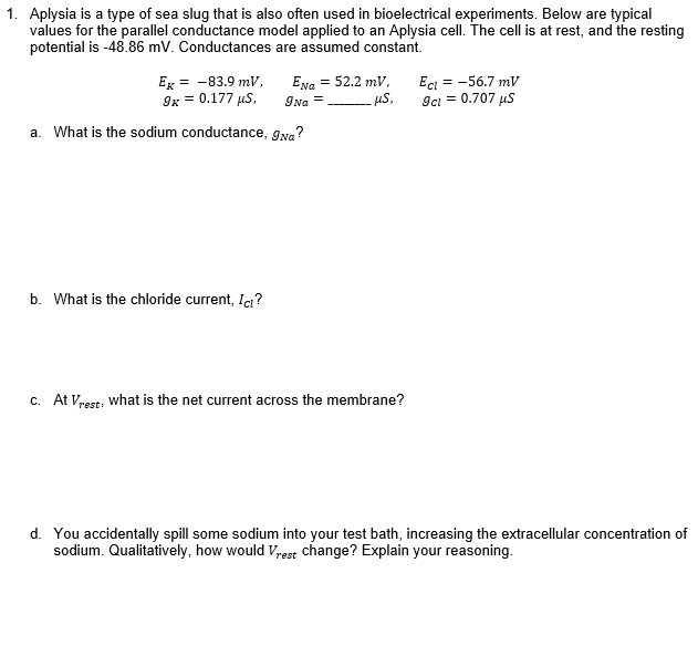 Solved Aplysia is a type of sea slug that is also often used | Chegg.com