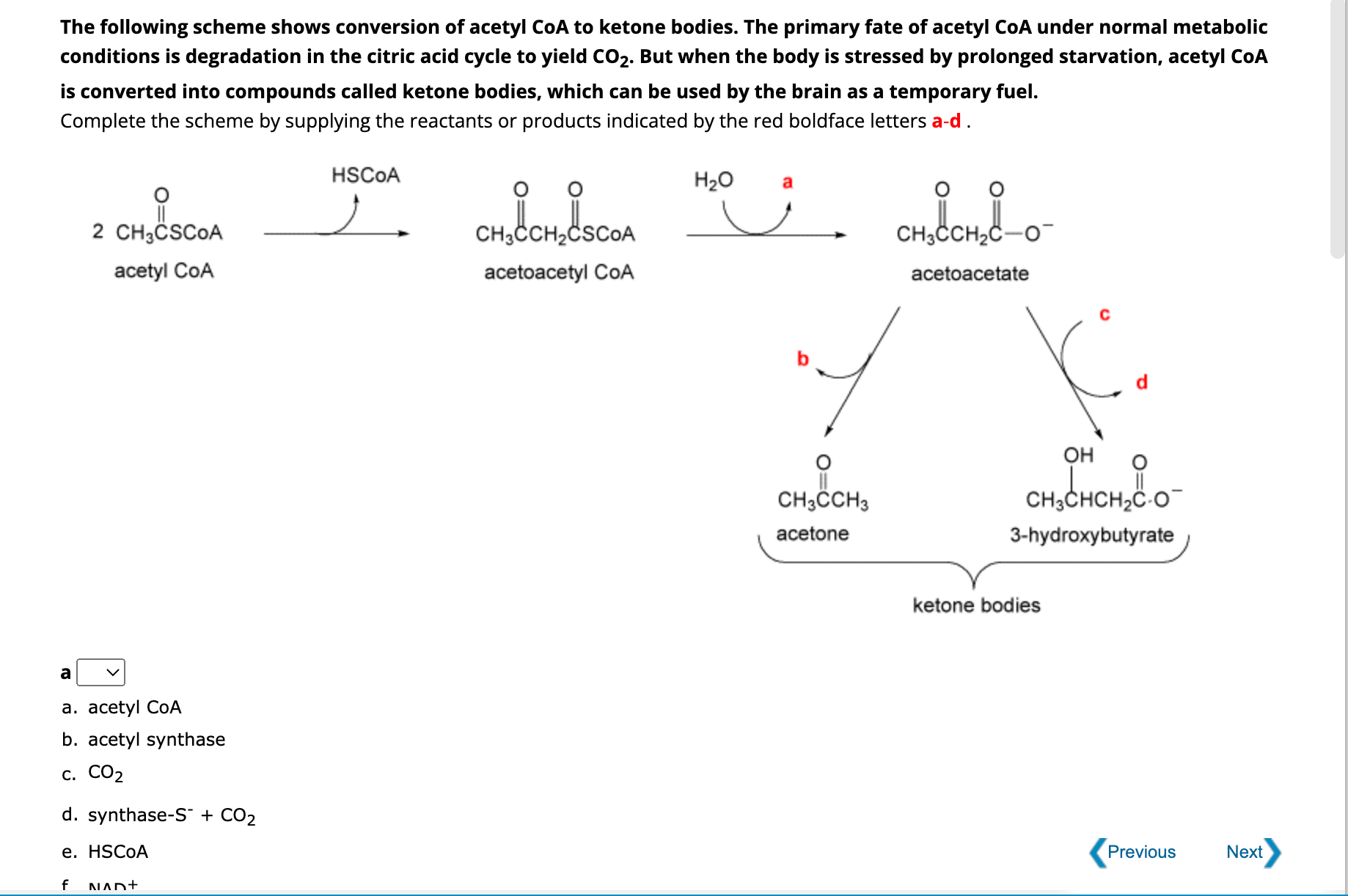 The Following Scheme Shows Conversion Of Acetyl Coa
