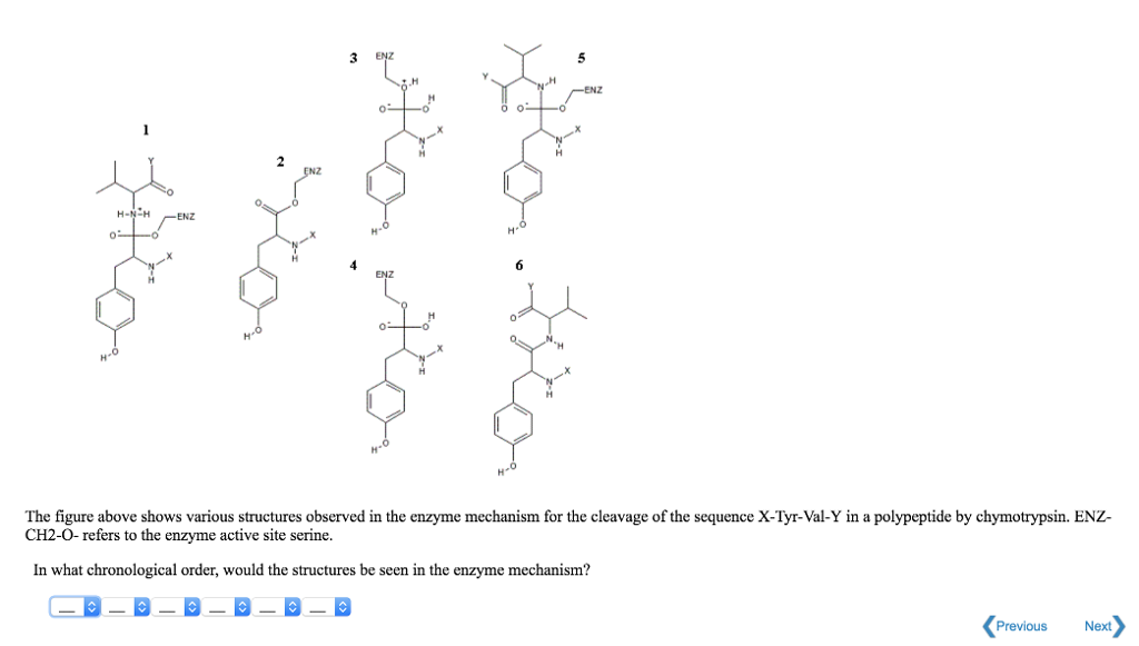 Solved 3 ENZ The figure above shows various structures | Chegg.com