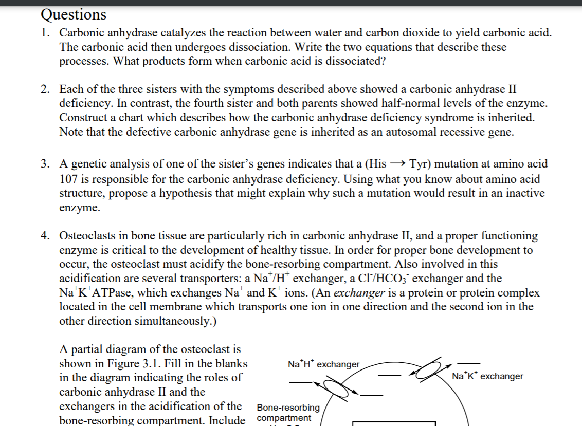 Solved Questions 1. Carbonic anhydrase catalyzes the | Chegg.com