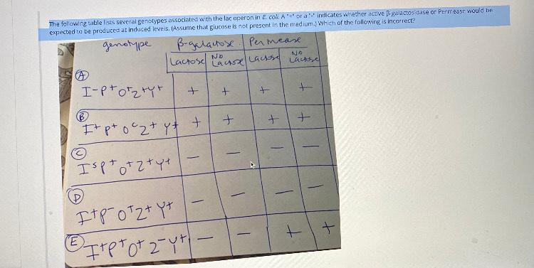 Solved The following table lists several genotypes | Chegg.com