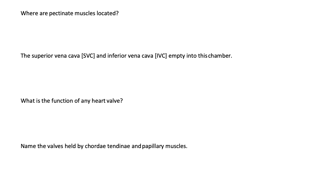 Solved Where are pectinate muscles located? The superior | Chegg.com