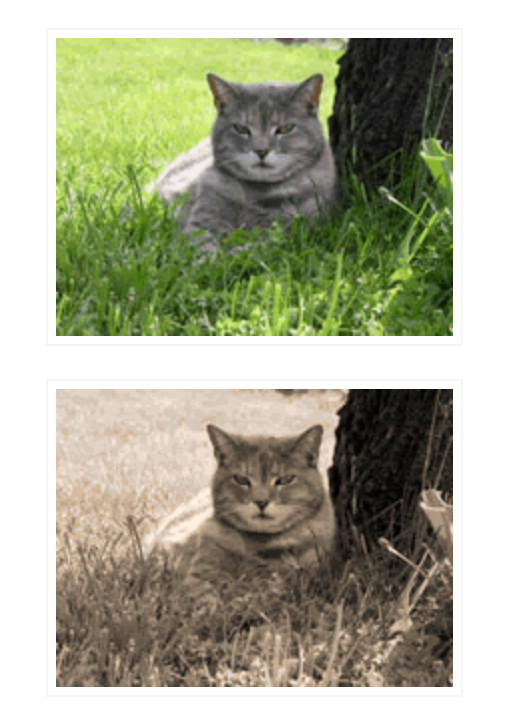 Solved Old-fashioned photographs from the nineteenth century | Chegg.com