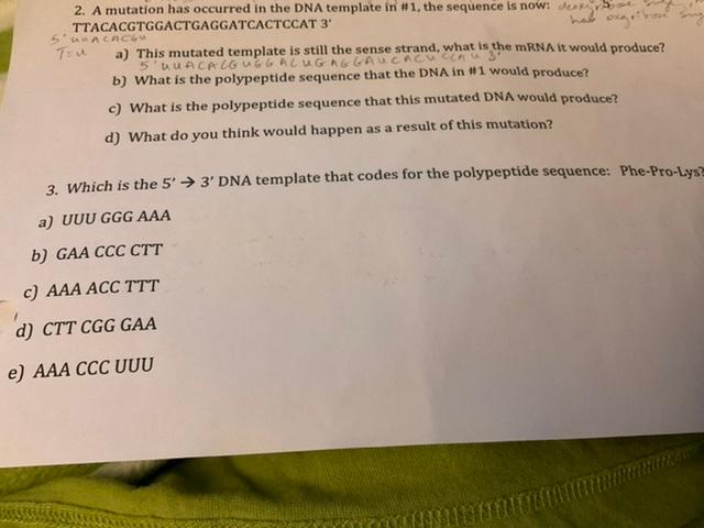 Solved 2. A mutation has occurred in the DNA template in ∥1, | Chegg.com