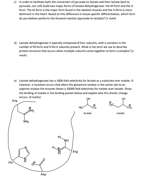 Solved 4. The conversion of pyruvate to lactate via lactate | Chegg.com