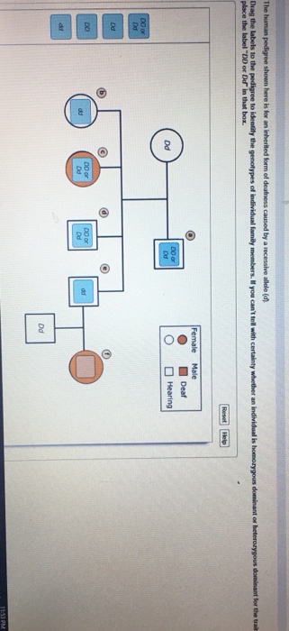Biology Archive | April 05, 2018 | Chegg.com