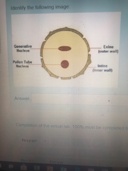 Solved Identify the following image: Generative Nucleus | Chegg.com