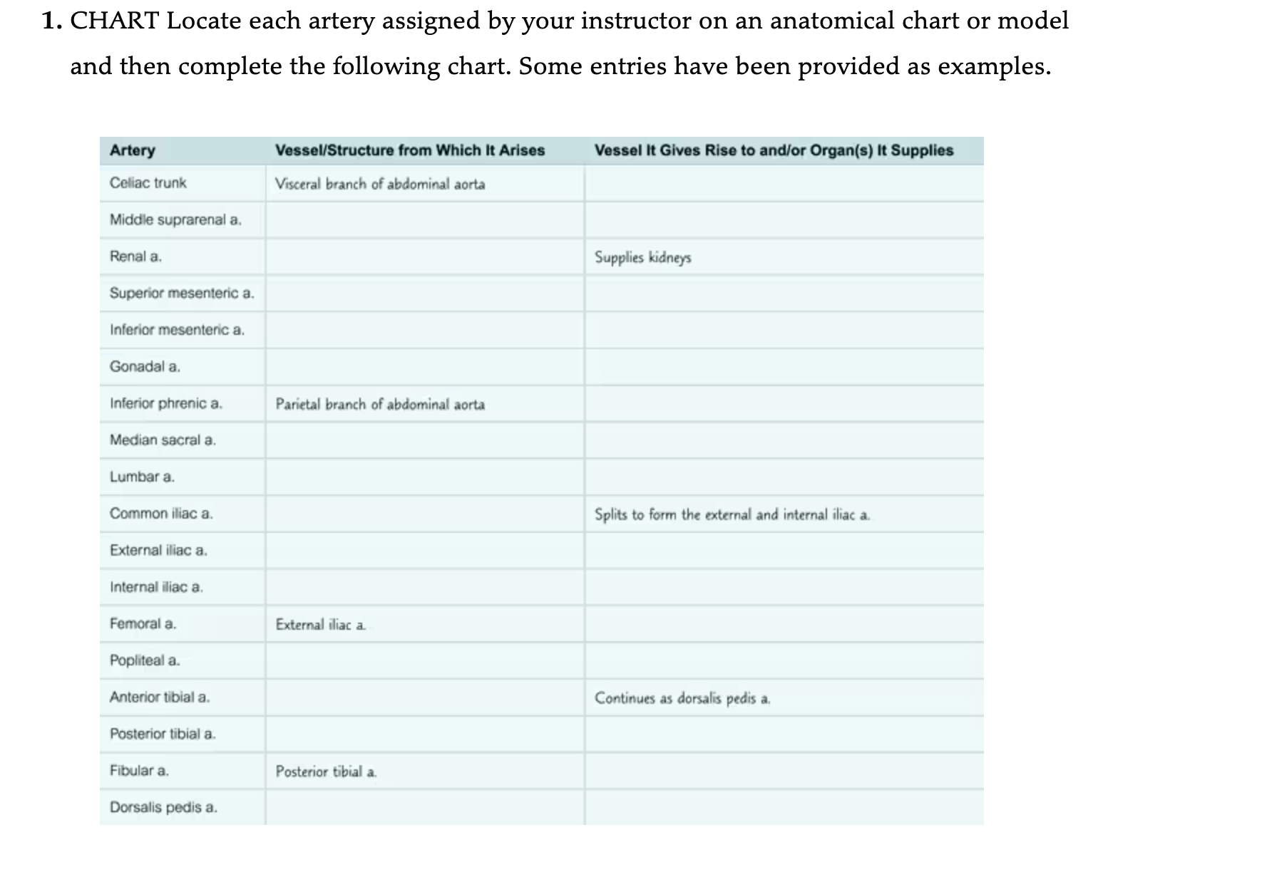 Solved CHART Locate each artery assigned by your instructor | Chegg.com